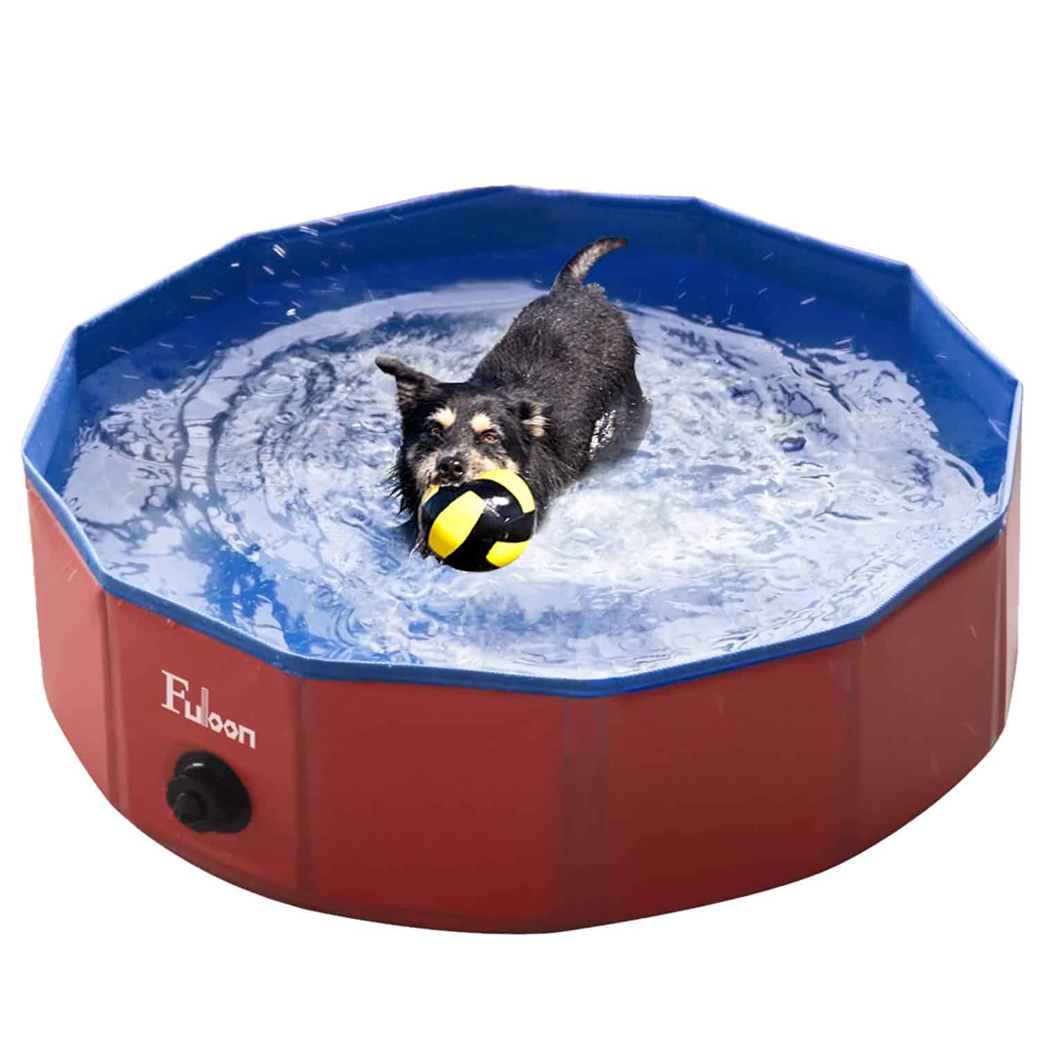 10 Best Dog Pools to Keep Your Pet Cool This Summer (Updated)