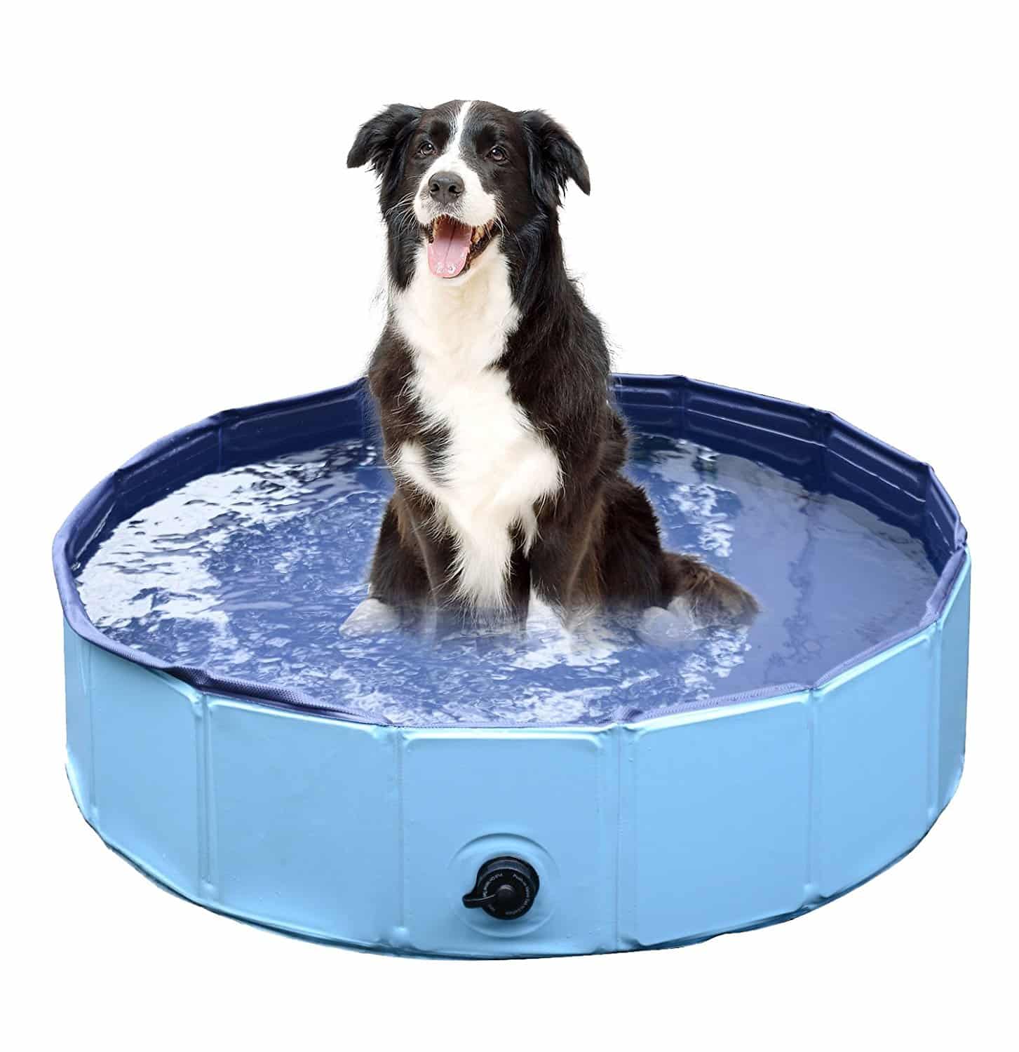 10 Best Dog Pools to Keep Your Pet Cool This Summer (Updated)