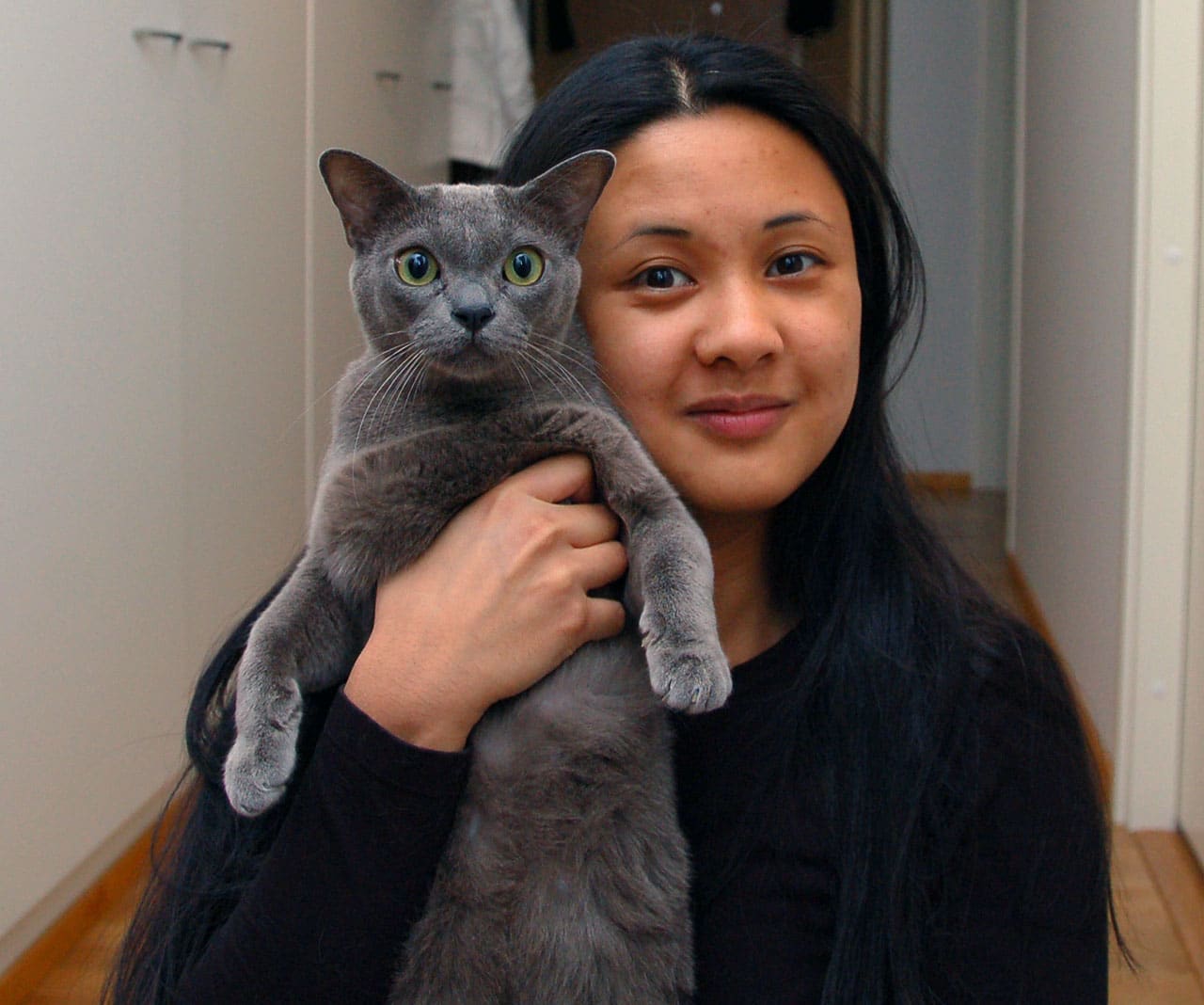 11 Facts You Probably Don't Know About the Burmese Cat