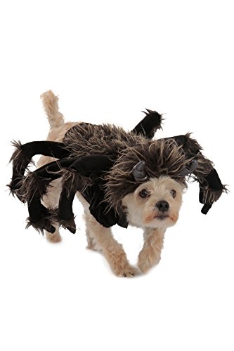 12 Best Scary Dog Costumes for 2019: Reviewed for Your Spooky Pooch