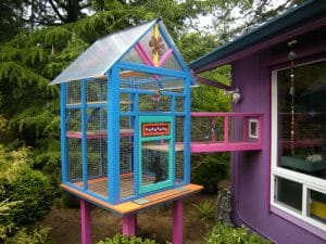 How to Build a Catio | Buy or Make an Outdoor Cat Enclosure