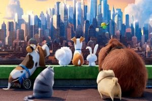 22 film sui cani che scaldano il cuore | The Dog People by Rover.com