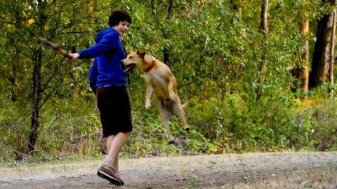 TOP 17 des meilleurs films avec un chien, émotions garanties ! | Rover Blog