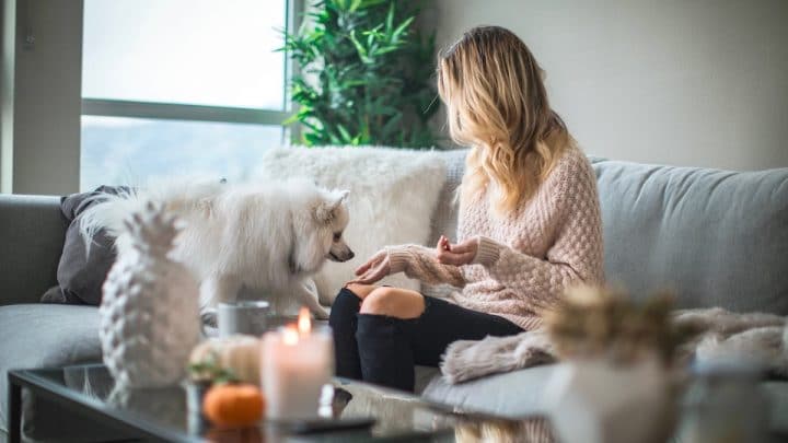 15 races de chien géniales pour la vie en appartement | Rover Blog