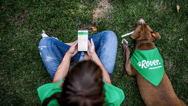 Mantieni il tuo profilo attivo e non impostato su Assente | The Dog ...