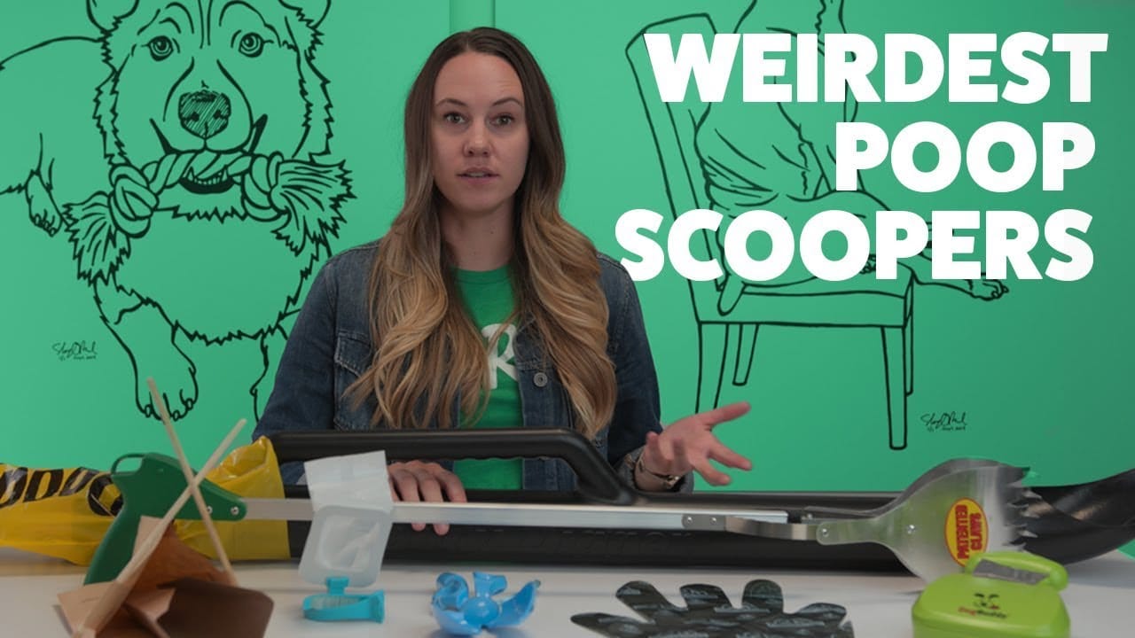 The 13 Best Pooper Scoopers for All Poop Fit to Scoop