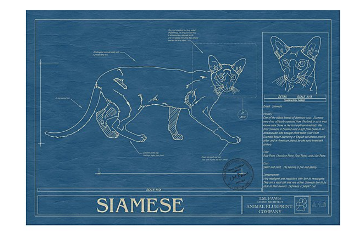 Gifts for Siamese Cat Lovers | 25 Gift Ideas: Art, Decor, and More