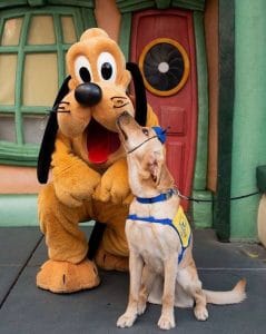 Les plus beaux noms de chiens inspirés des personnages de Disney