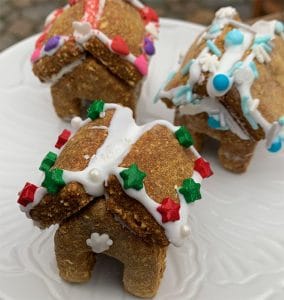 Gingerbread house for dogs: Get crafty with our healthy holiday recipe