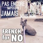 The French Bulldog Personality, Revealed: Are They Really Crazy?