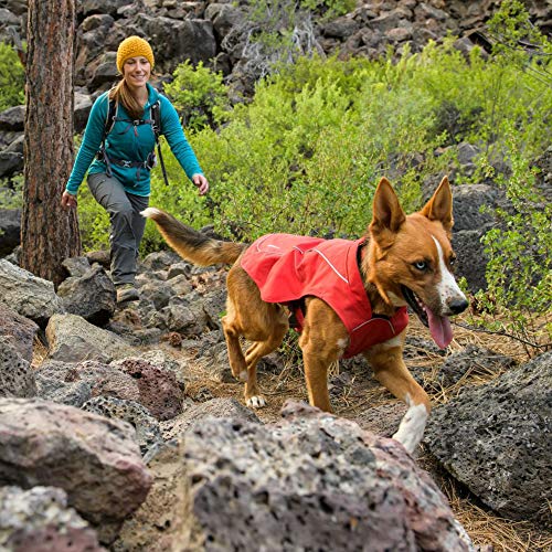 Ruffwear Dog Coat | We Review the Ruffwear Overcoat Jacket