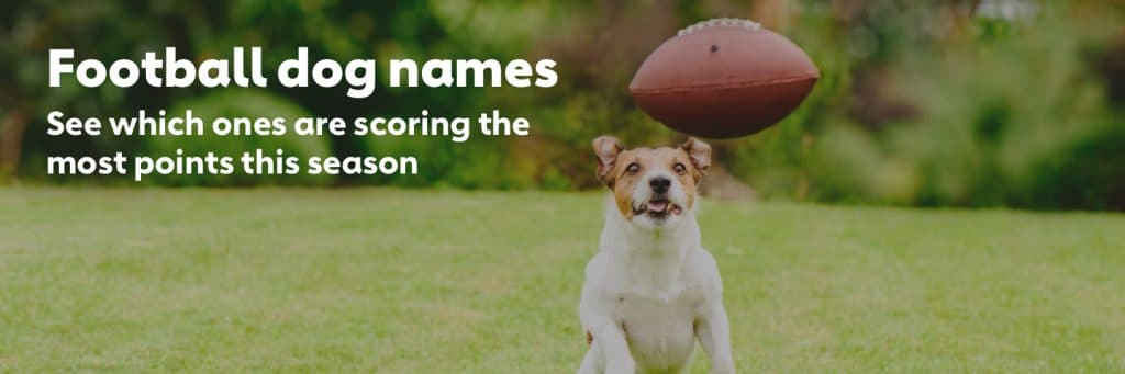 Top Football Dog Names | The Dog People by Rover.com