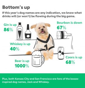 Top Football Dog Names | The Dog People by Rover.com