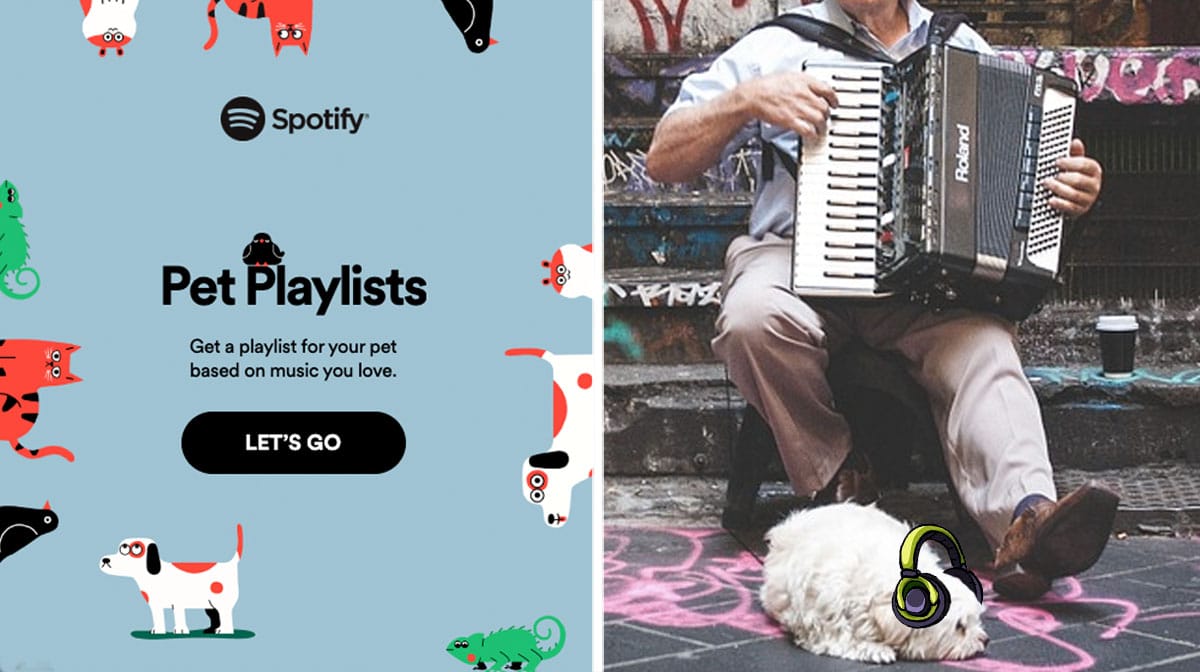 New Spotify Feature Creates Custom Playlists Tailored to Your Dog | The ...