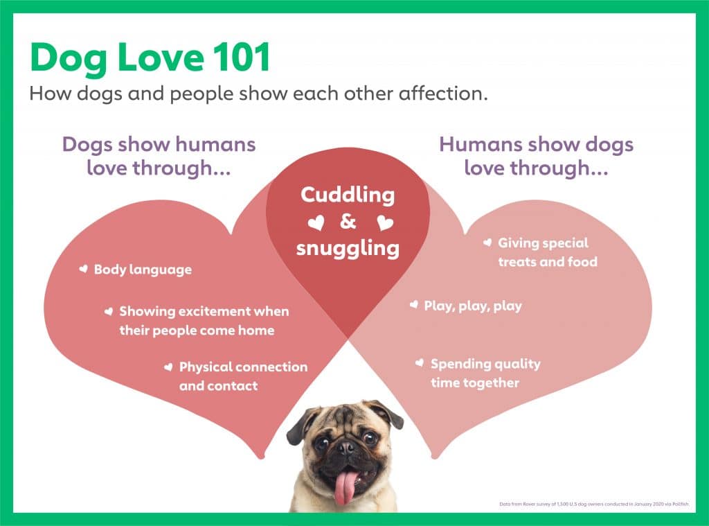 The Love Language of Dogs | How Dogs Show Love