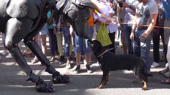 Caught on Video: The Moment This Rottweiler Met a Giant Dog Puppet ...
