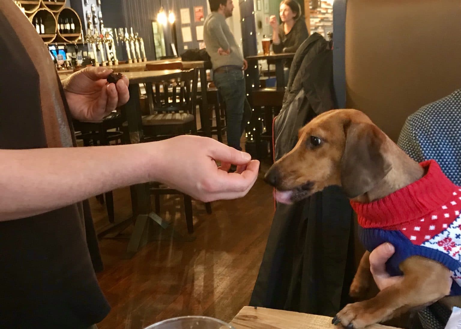 Top 8 Dog-Friendly Restaurants in Edinburgh | The Dog People by Rover.com