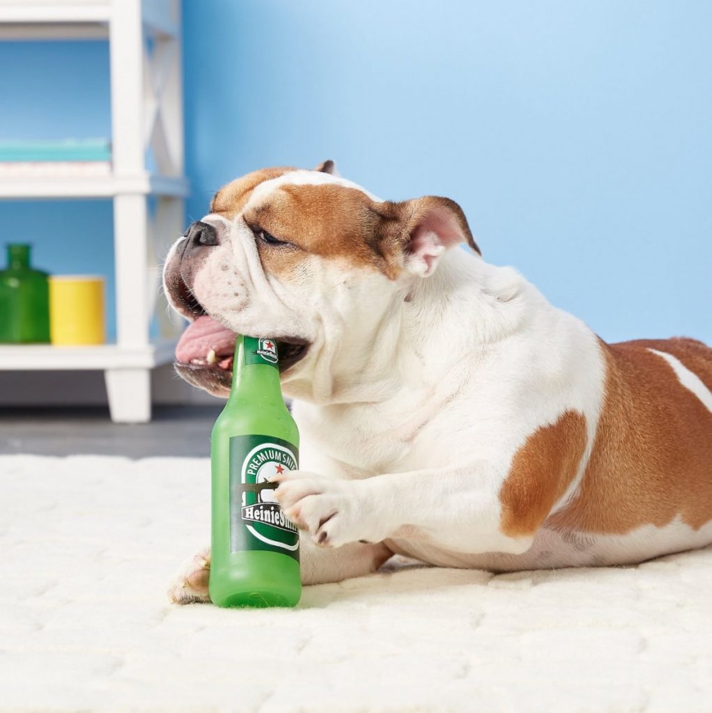 Beer-Themed Gifts | 12 Gifts for Dog Parents Who Love a Brew