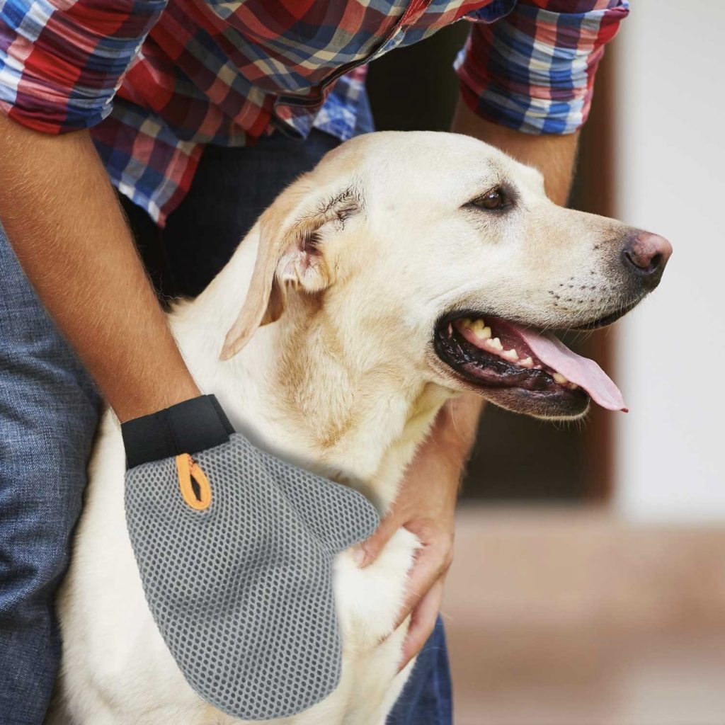 Dog Massage Tools | The Best Dog Massage Tools for Total Bliss
