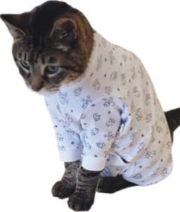 Cat Recovery Suits | The 7 Best Suits to Help Your Kitty Heal Post-Surgery