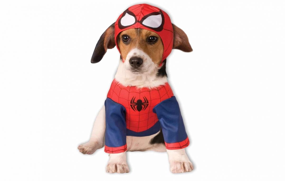 Marvel Dog Costume | The Best Marvel Costumes for Your Dog