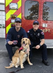 Sweet Therapy Dog Offers Much-Needed Relief to Firefighters Battling ...