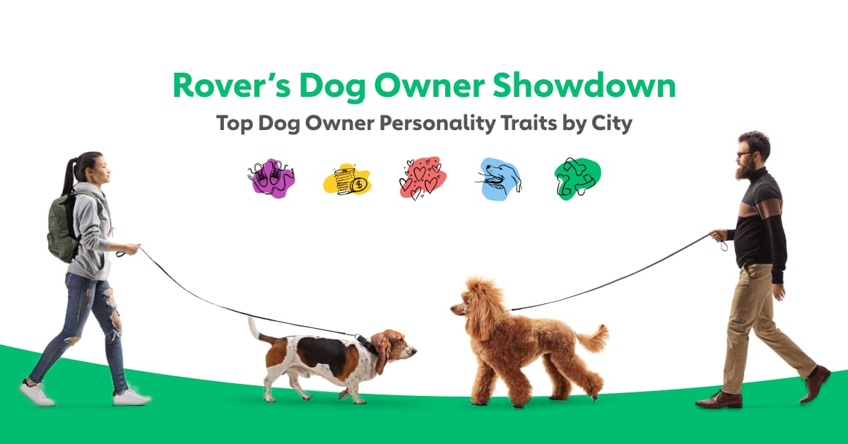 Rover's Dog Owner Showdown: Top Cities, Ranked | Rover.com