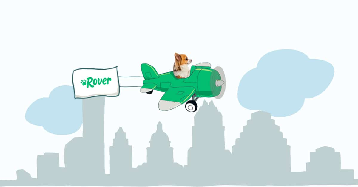 The Most Popular Dog and Cat Names in Austin | Rover.com