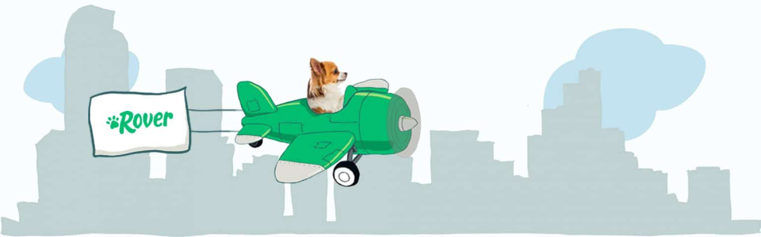 Most Popular Dog and Cat Names in Denver | Rover.com
