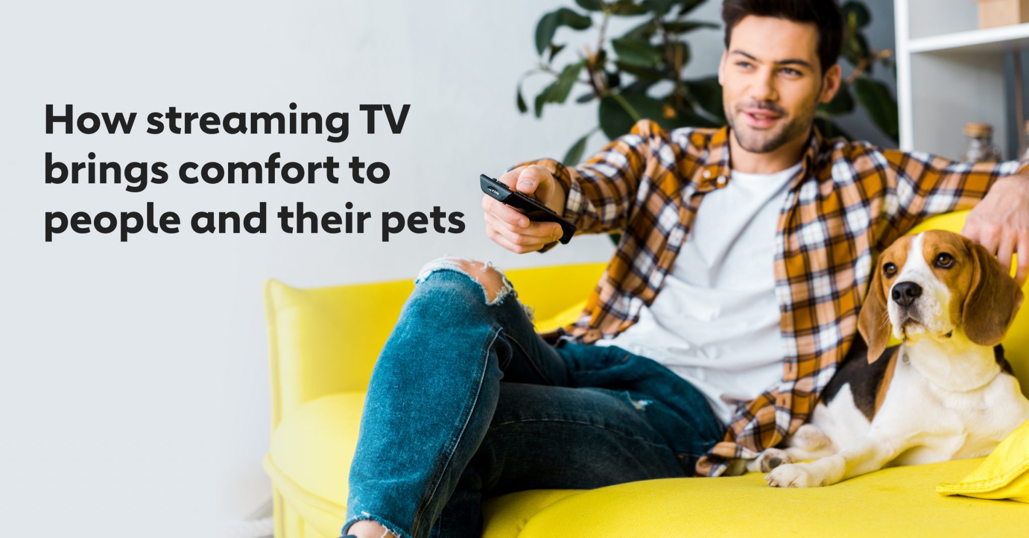 How Streaming TV Brings Comfort to People and Their Pets | Rover.com