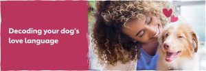 Decoding your dog's love language | The Dog People by Rover.com