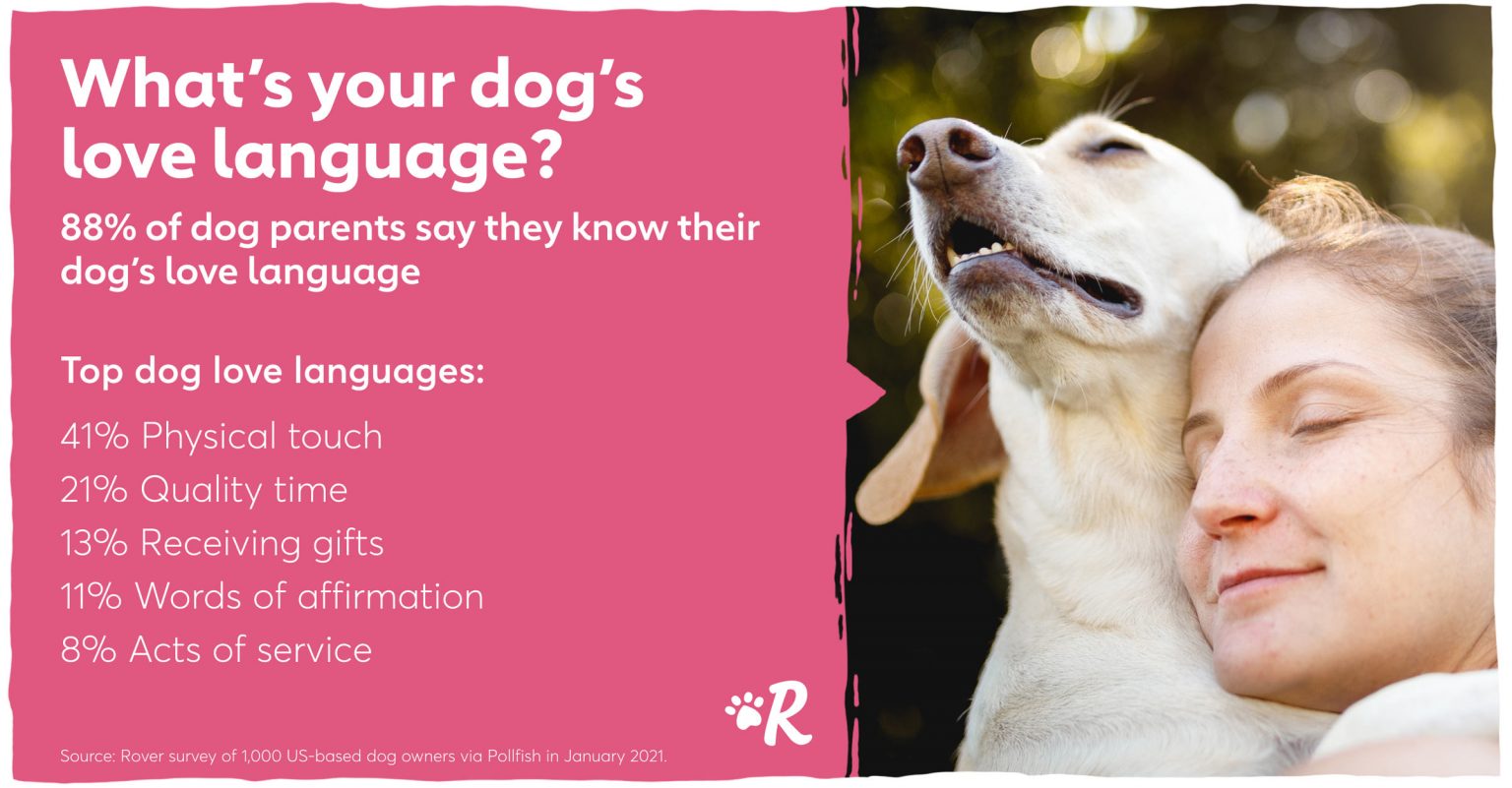 Decoding your dog's love language | The Dog People by Rover.com