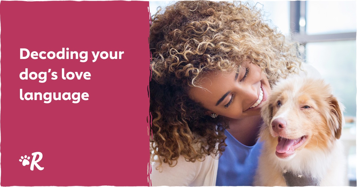 Decoding your dog's love language | The Dog People by Rover.com