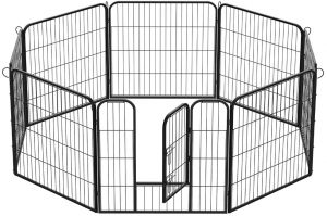 Choose The Best Dog Run For Your Dog | Our Top 6 Dog Run Picks