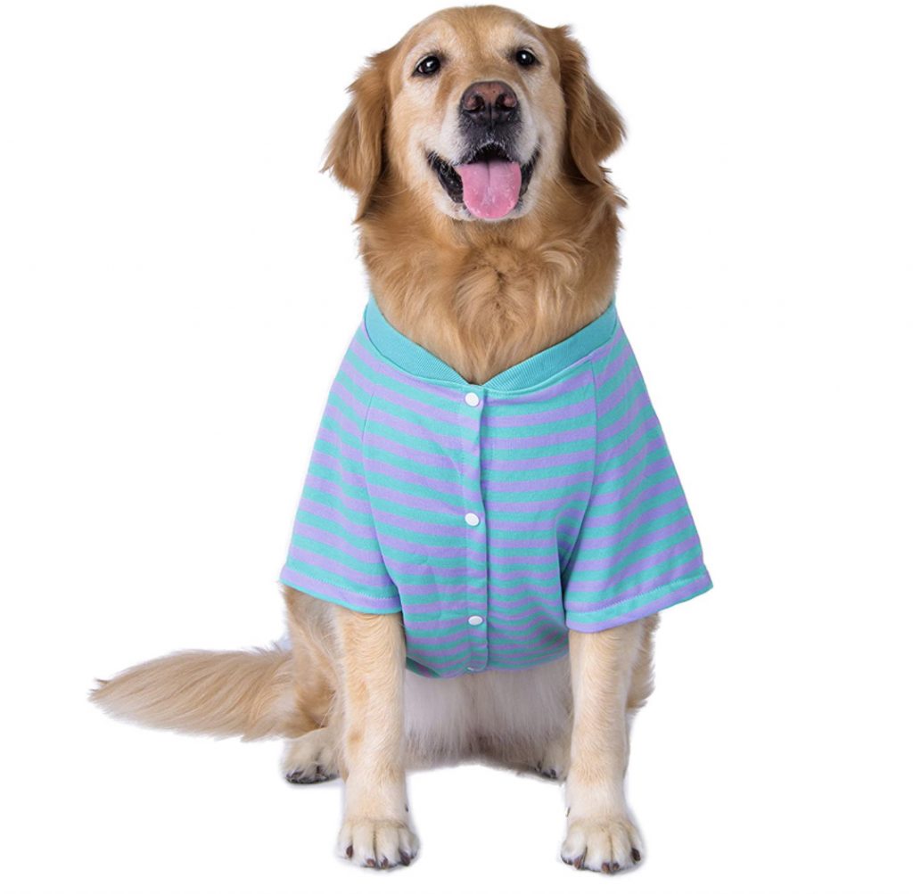 Want Clothing Options for Your Large Dog? | The Best Large Dog Clothes