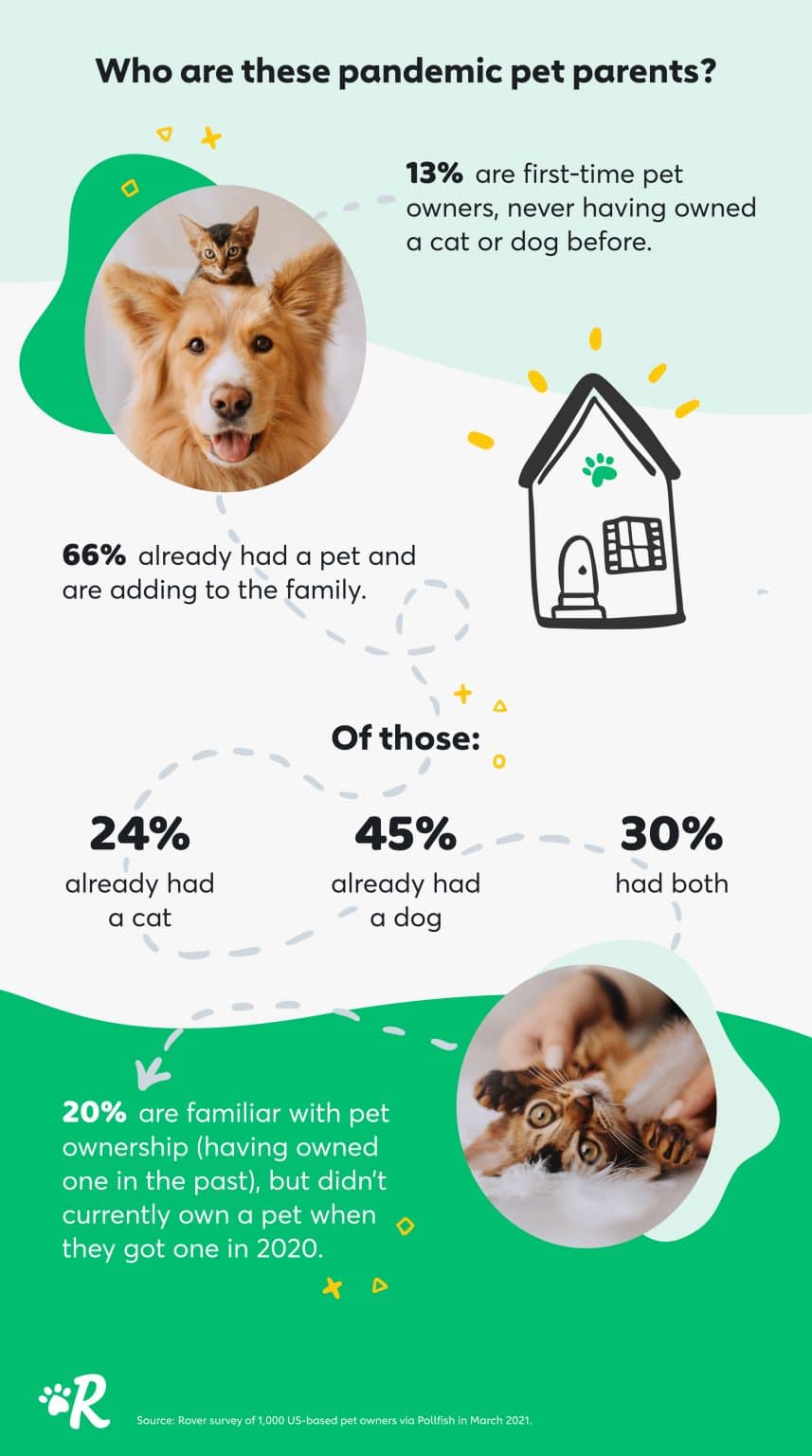 The Pandemic Pet Adoption Boom: What We’ve Learned, One Year Later