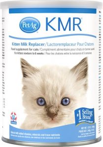 Kitten Formula | The Best Kitten Formulas for Nutrition in the First Weeks