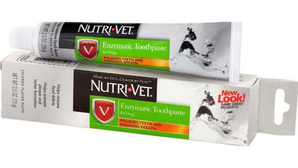 12 Dog Toothpastes for Healthy Canine Teeth & Gums