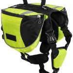 The 10 Best Backpacks and Saddlebags for Dogs To Wear