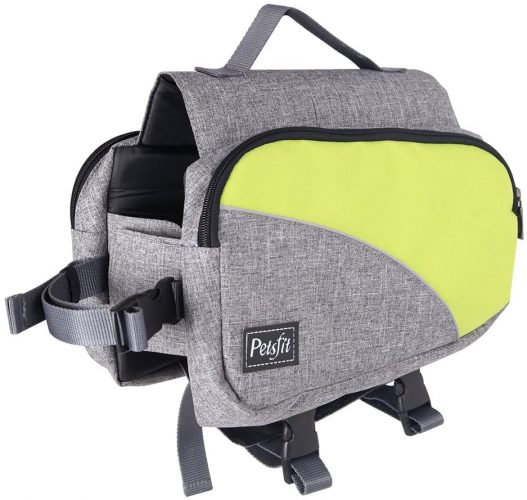 The 21 Best Dog Packs Your Pup Can Carry on Your Next Adventure