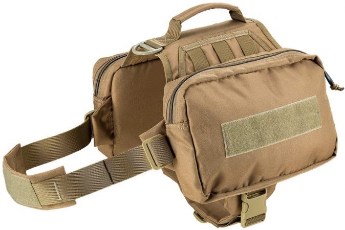 The 21 Best Dog Packs Your Pup Can Carry on Your Next Adventure