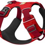The 8 Best Harnesses for Golden Retrievers