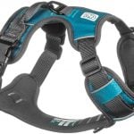 The 8 Best Harnesses for Golden Retrievers