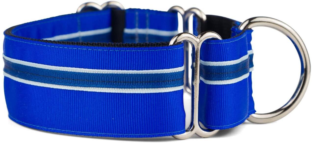 Martingale Dog Collars How To Use Them And Which Ones Are Best Martingale Dog Collars How To Use Them And Which Ones Are Best