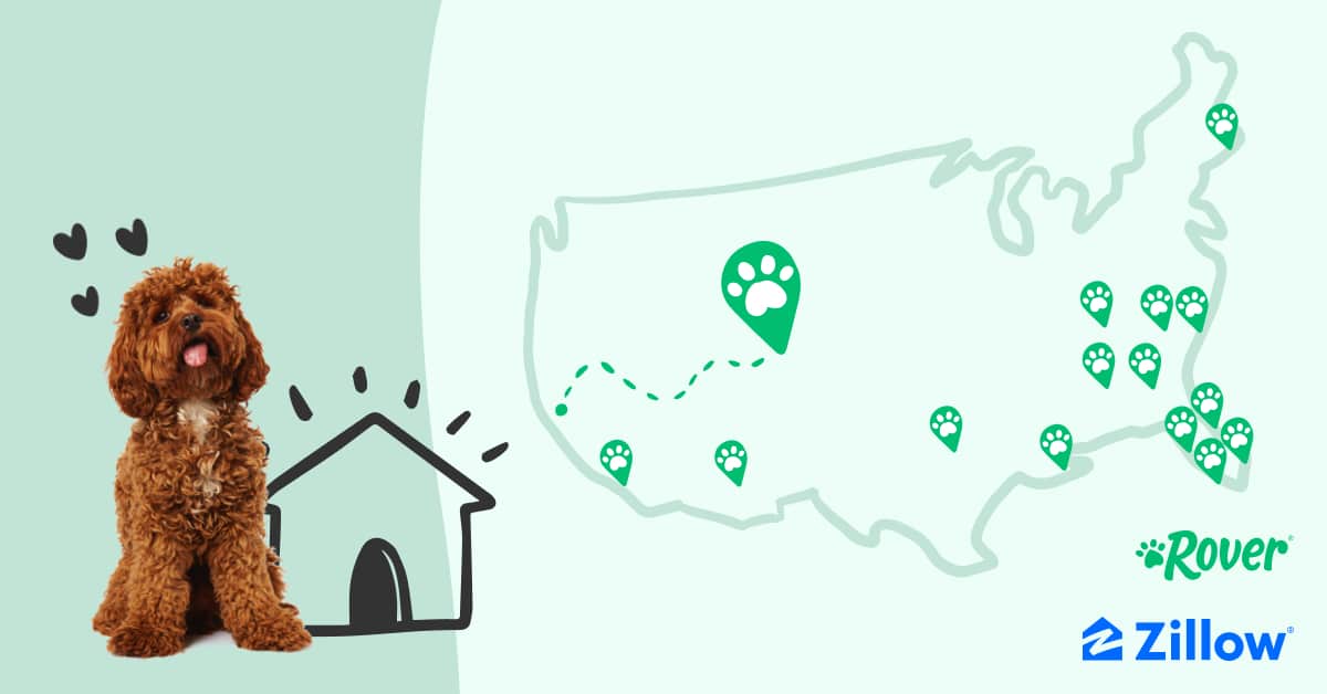 Rover & Zillow’s Top Emerging Dog-Friendly Cities for 2021 | Rover.com