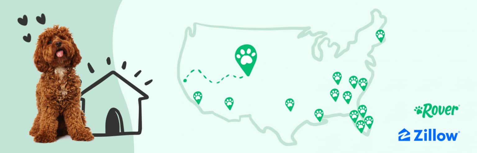 Rover & Zillow’s Top Emerging Dog-Friendly Cities for 2021 | Rover.com