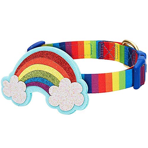 Cute Dog Collar | 18 Cute Dog Collars for Every Dog