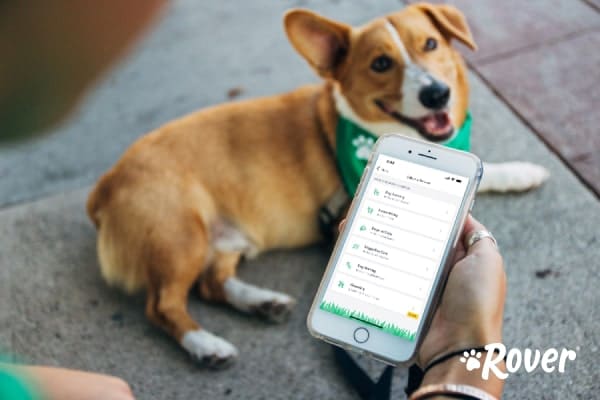 Web and App Screen Shots | The Dog People by Rover.com