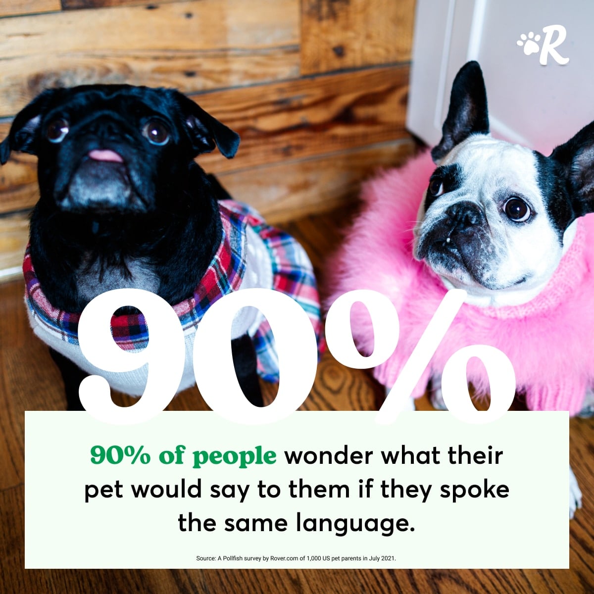 How the Pandemic Bonded Us to Our Pets | Rover.com