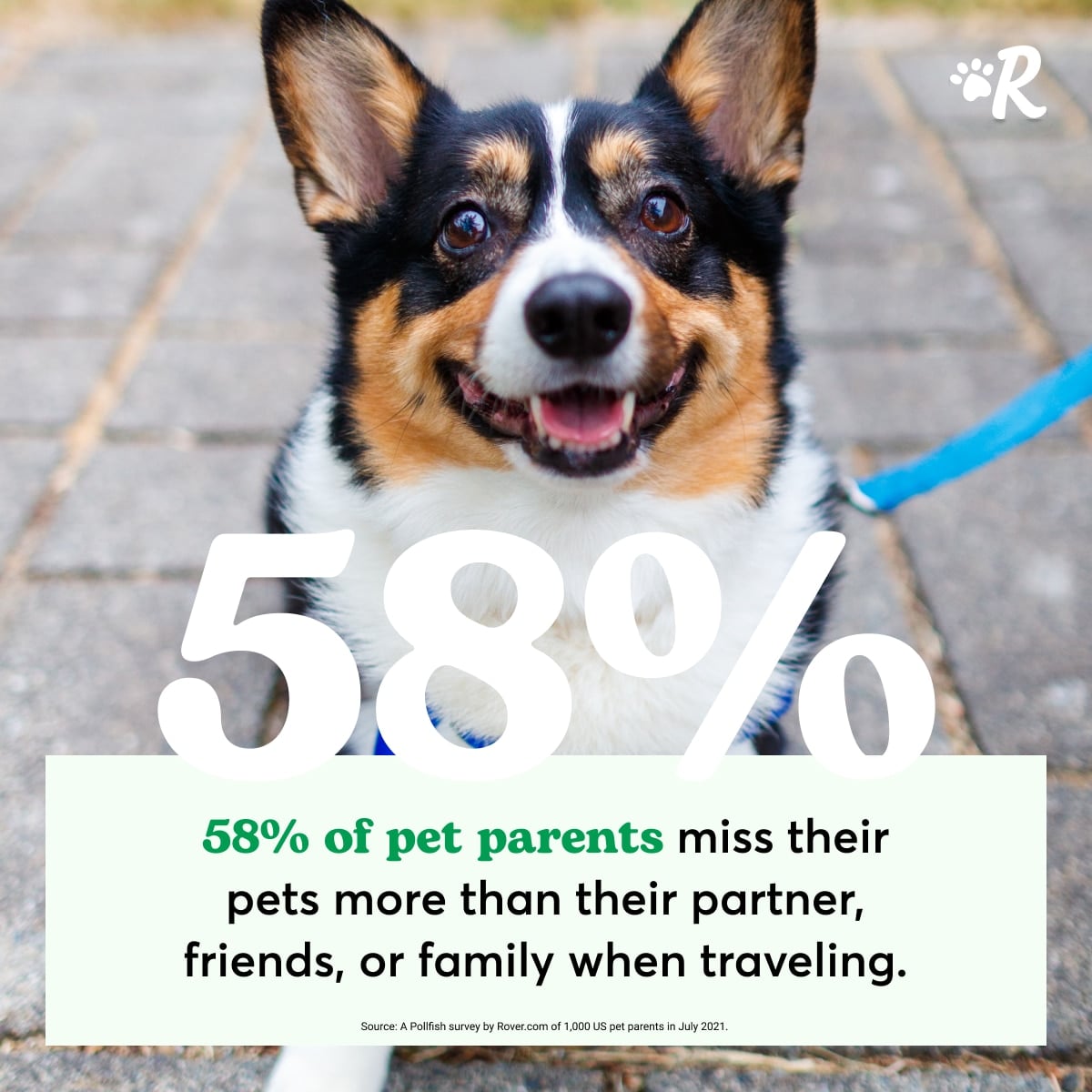 How the Pandemic Bonded Us to Our Pets | Rover.com